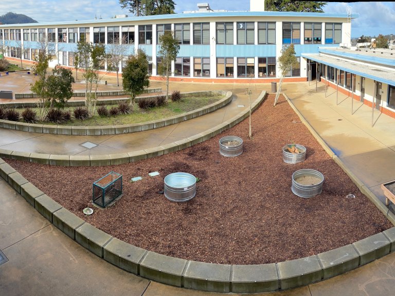 Raoul Wallenberg High School | SFUSD