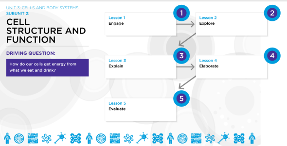 6th Grade - Unit 3: Cells and Body Systems | SFUSD