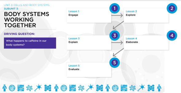 6th Grade - Unit 3: Cells and Body Systems | SFUSD